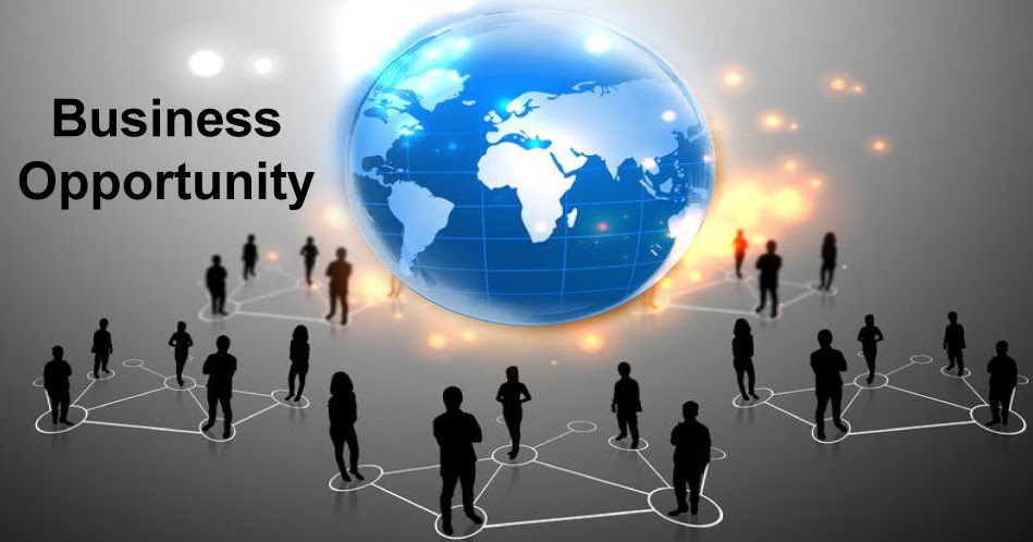 What is Master Distributor Business Opportunity and what are its types?