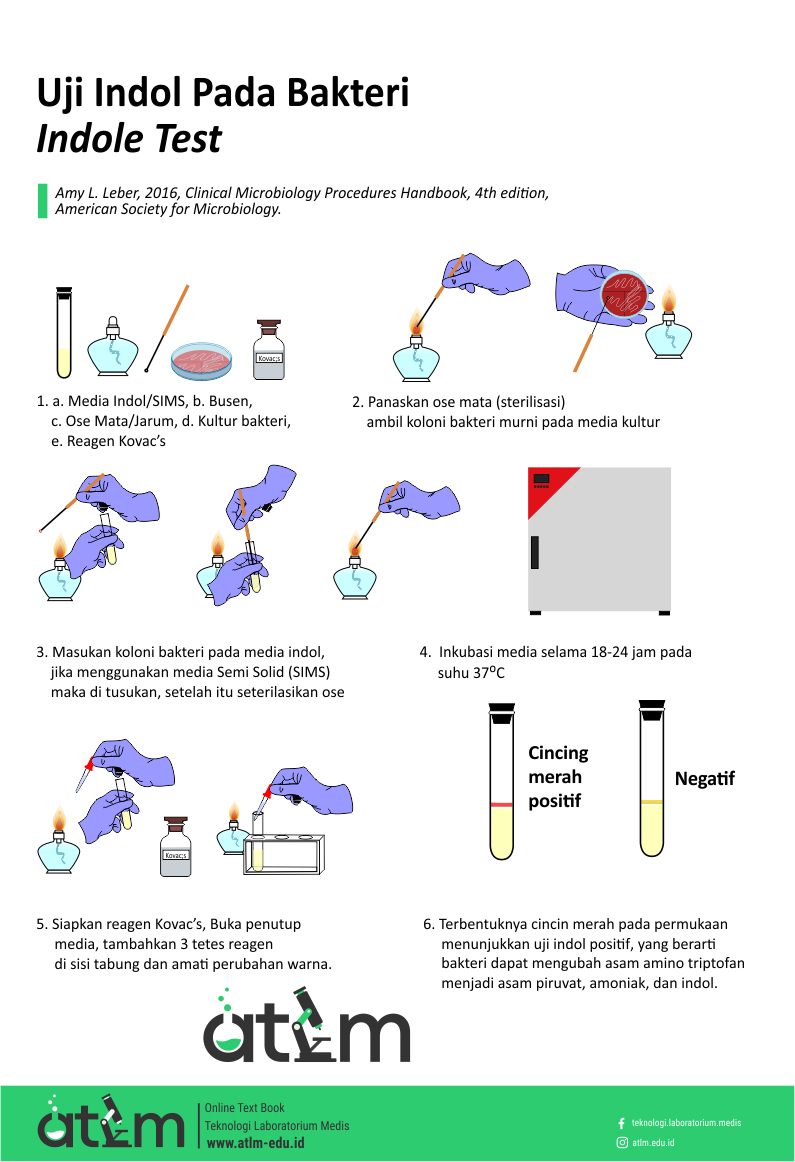 Uji Indol Pada Bakteri - Indole Test — Online Text Book ATLM