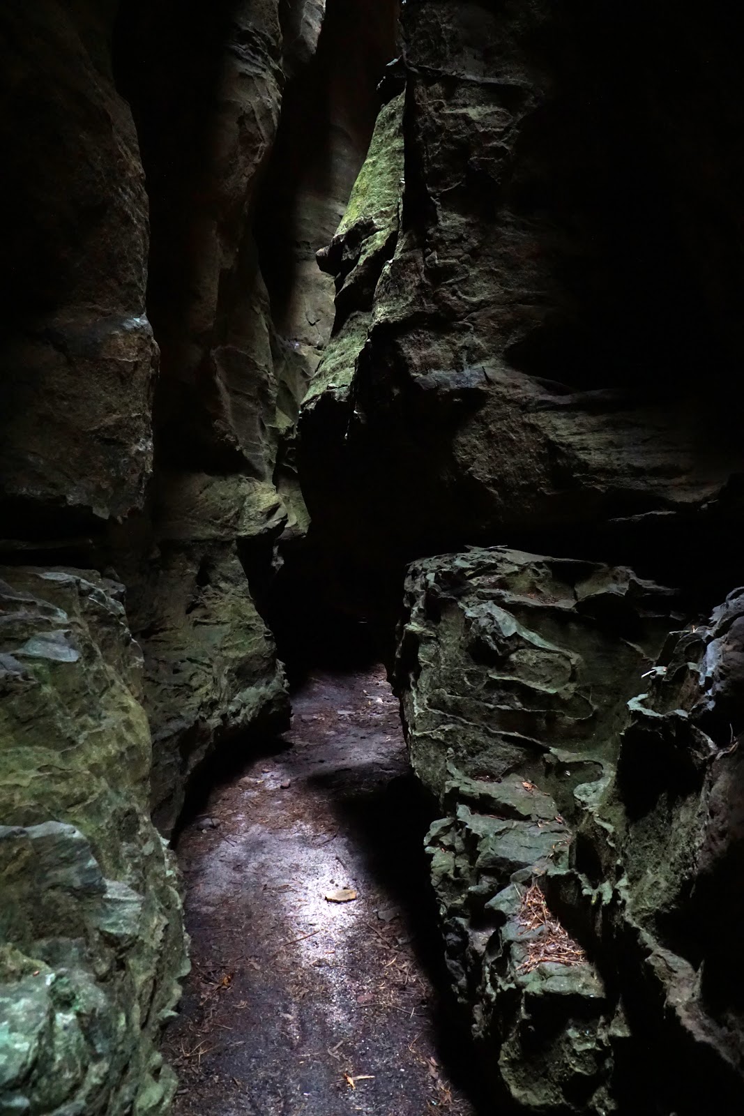 Dry Canyon (Wollemi National Park) ~ The Long Way's Better