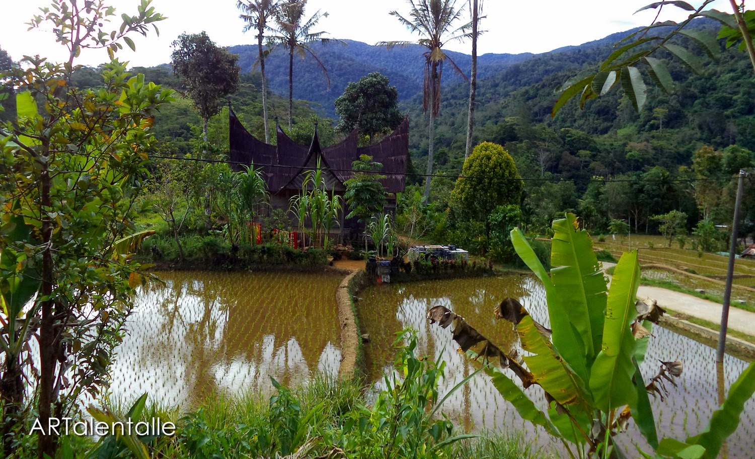 Padangsche Bovenlanden: SOLOK Part.10 'Taratak Nagari Surian'