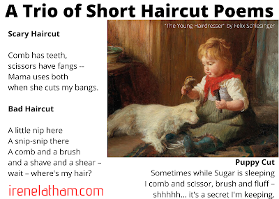 Live Your Poem...: A Trio of Short Haircut Poems