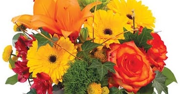 Frances Flower Shop: Best Florist in Little Rock Arkansas - Frances ...