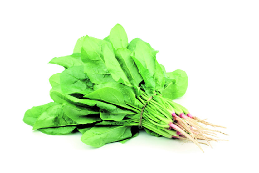 पालक भाजी आहारात नक्की करा उपयोग !! कधीच होणार नाहीत हे त्रास ..नक्की ...