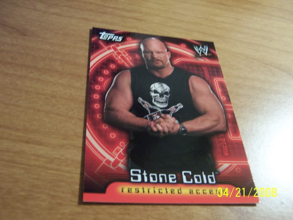 WORLD WRESTLING ENTERTAINMENT: American Professional Wrestler