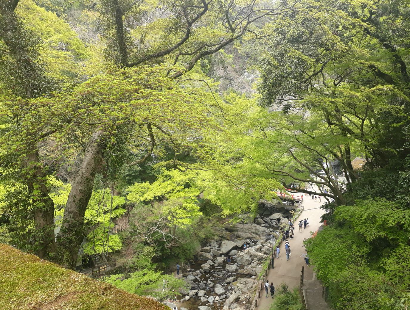 8 Reasons why you should visit Minoo Park