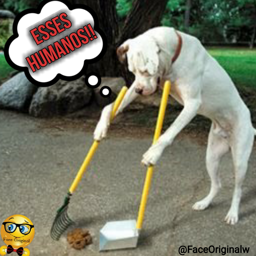 Face Originalw- Montagens com Imagens,Mensagens,Frases,Zueiras: Zueira