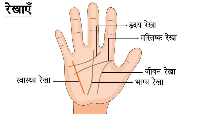 सूर्य रेखा से बना त्रिकोण | हस्तरेखा विज्ञान ~ INDIAN PALMISTRY | PALM ...