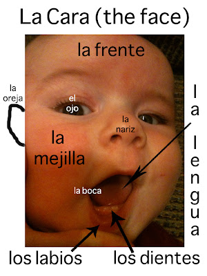 Finishing The Race: Spanish for this week (more face words)