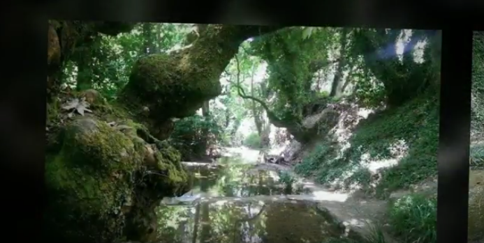 ΡΕΜΑΤΙΑ ΒΑΡΝΑΒΑ SOS