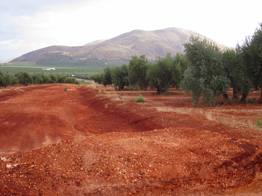 El rincón del Coitán: CONOCIENDO MEXICO.