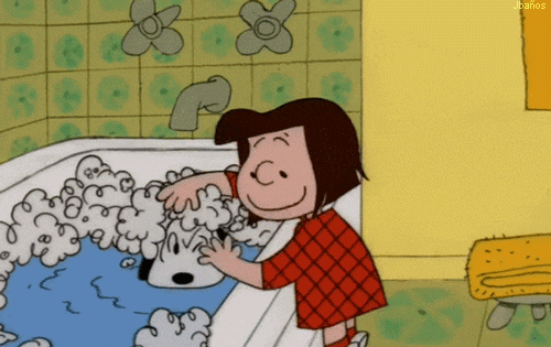 Charlie Brown: Lucy bañando a Snoopy