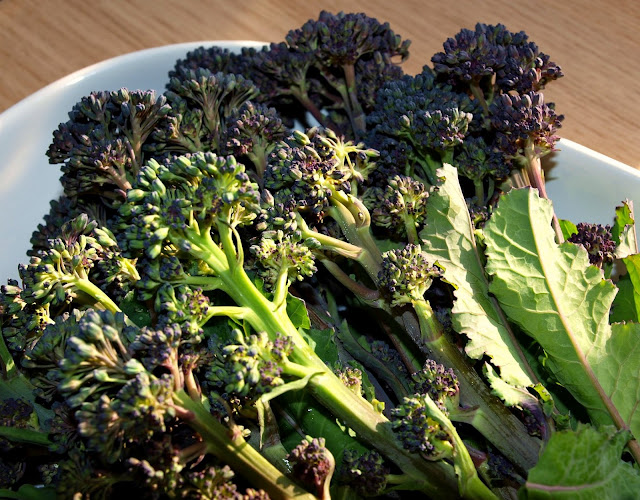 Mark's Veg Plot: Bye Bye, Broccoli