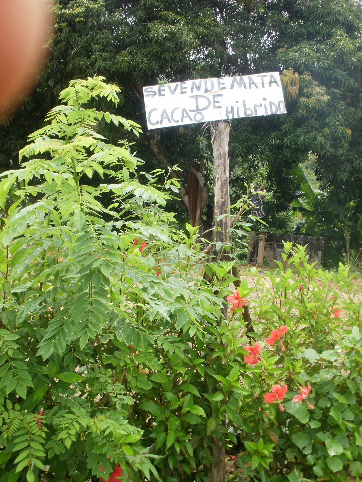 Espejismo de Luna Llena: El Chacaro, Yamasa.
