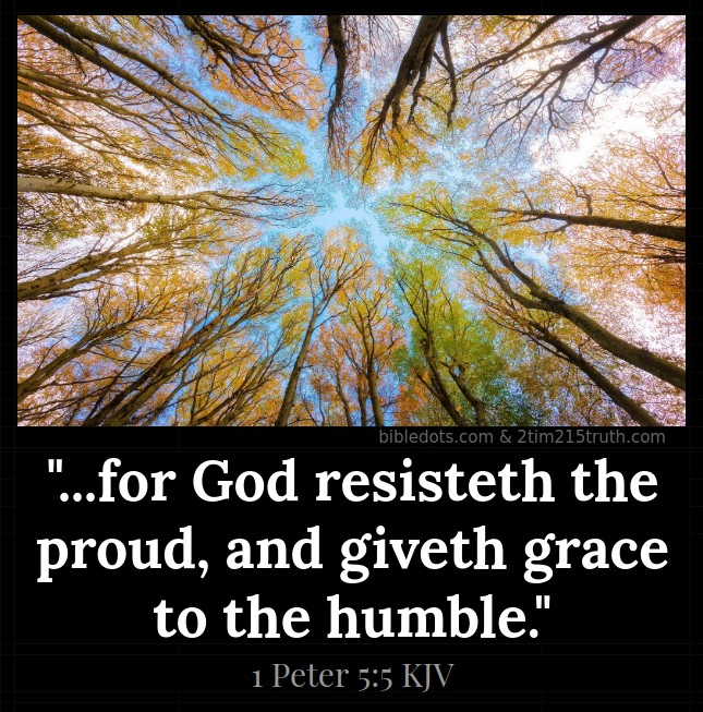 2 Timothy 2 15 Truth Verse Of The Day 1 Peter 5 5 KJV 2-timothy-2-15-truth-verse-of-the-day-1-peter-5-5-kjv
