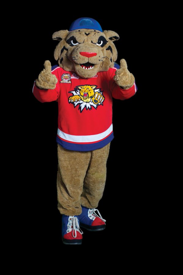 Ale Knight Gazette: 2021