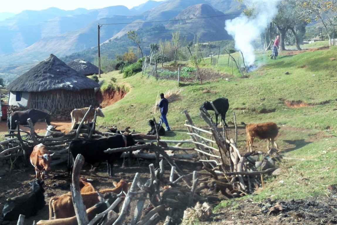 Bill's Excellent Adventures: Lesotho