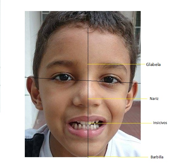 ODONTOLOGÍA 2015-2 estudiante 2015263002