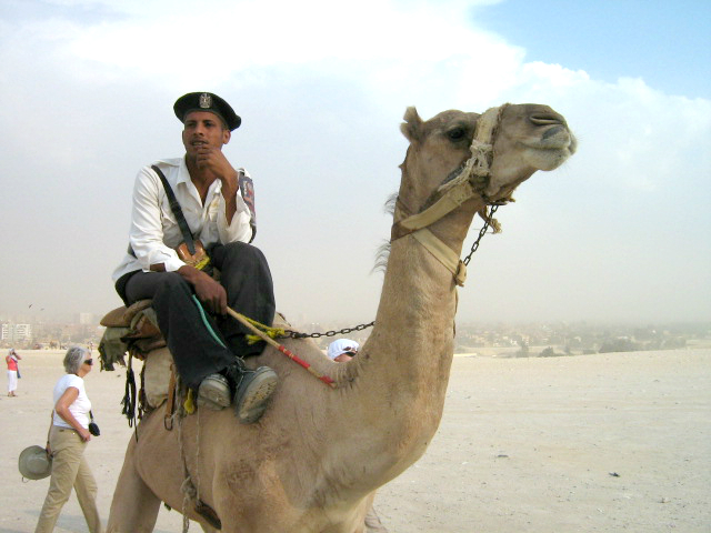 CamelDabble TravelBabble: Military and Police Camels