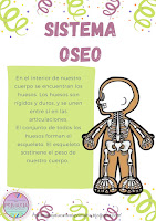 Sistemas del Cuerpo Humano