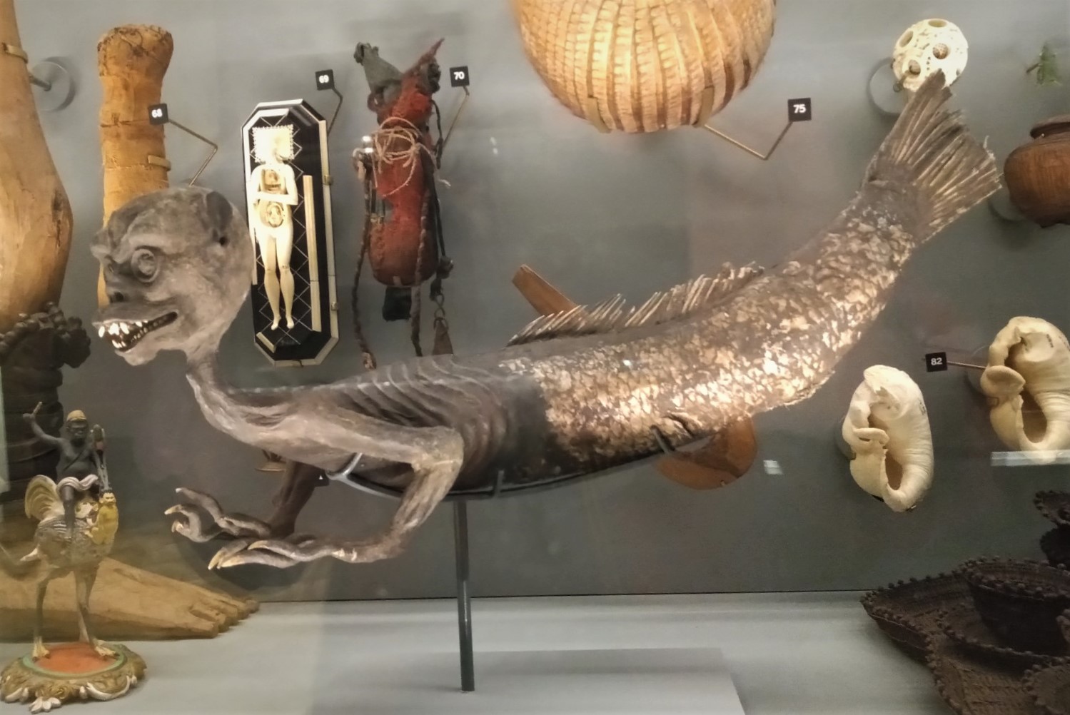 A bad witch's blog: Occult London: Merman in a Cabinet of Curiosities