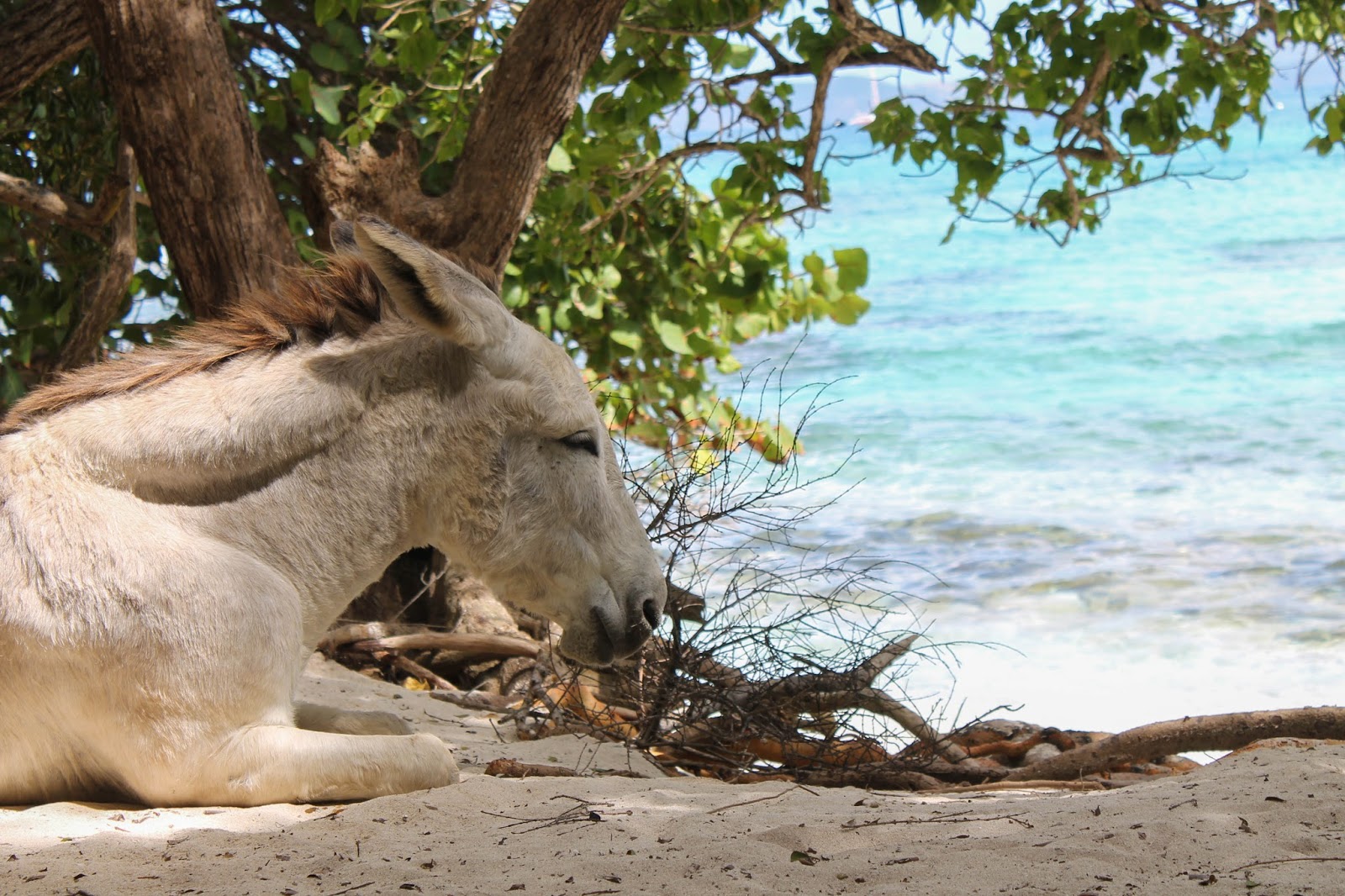 (More Than) A Spot in the Sun