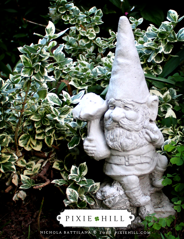 Pixie Hill: The Fairy Garden