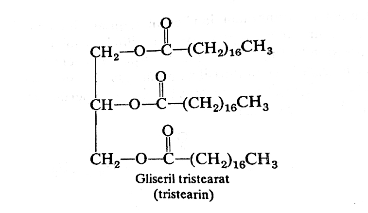 Mengenal Trigliserida Yang Merupakan Ester Dari Asam Lemak dan Gliserol