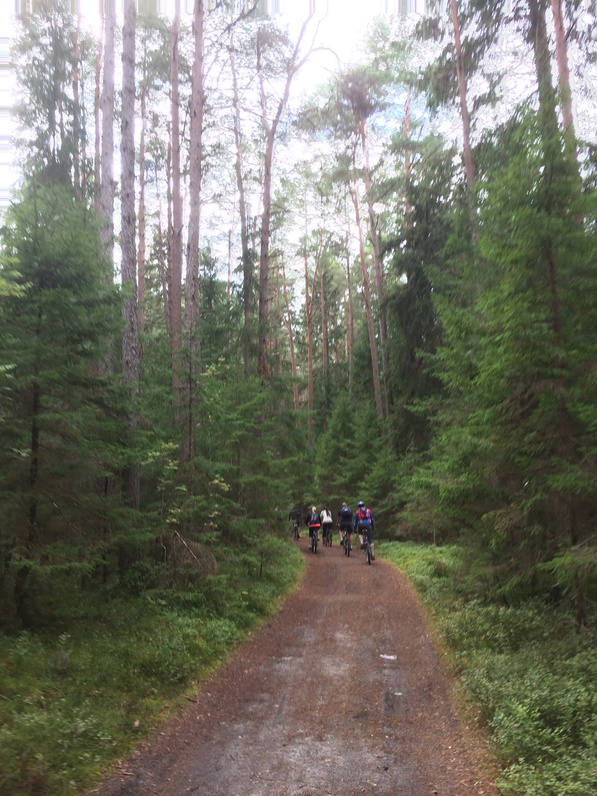 Suur seiklus.: Maastikud: Vormsi saar