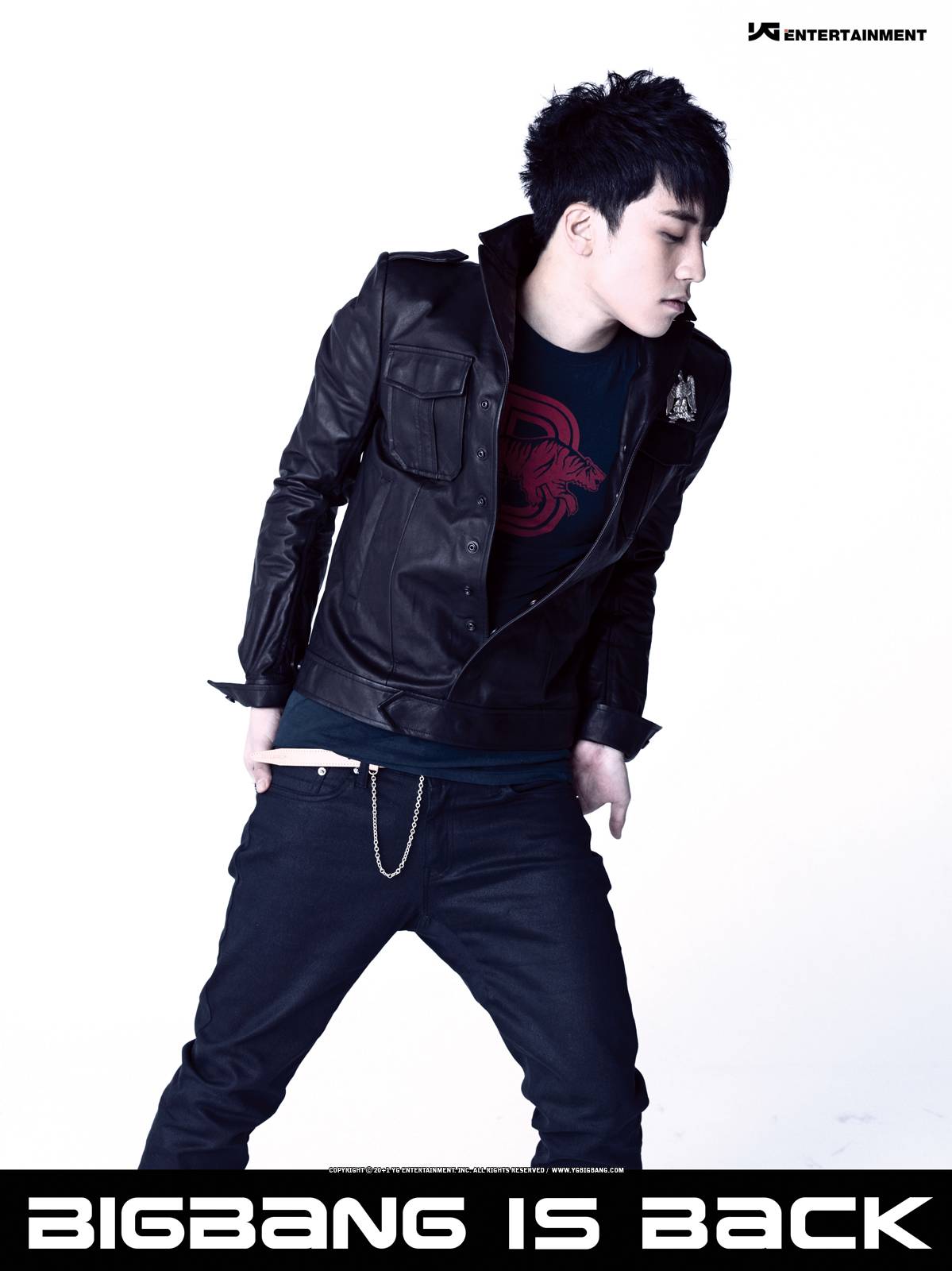 Any Asian Music: Seungri Facts