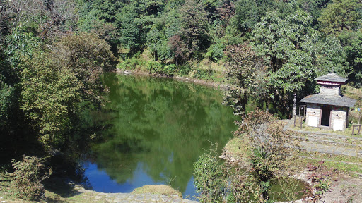 Jhinu Danda Hot Springs/Panchase Bhanjyang Trek
