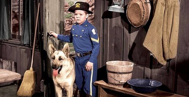 Relembrando Lee Aaker, o Cabo Rusty de Rin Tin Tin ~ Memórias ...