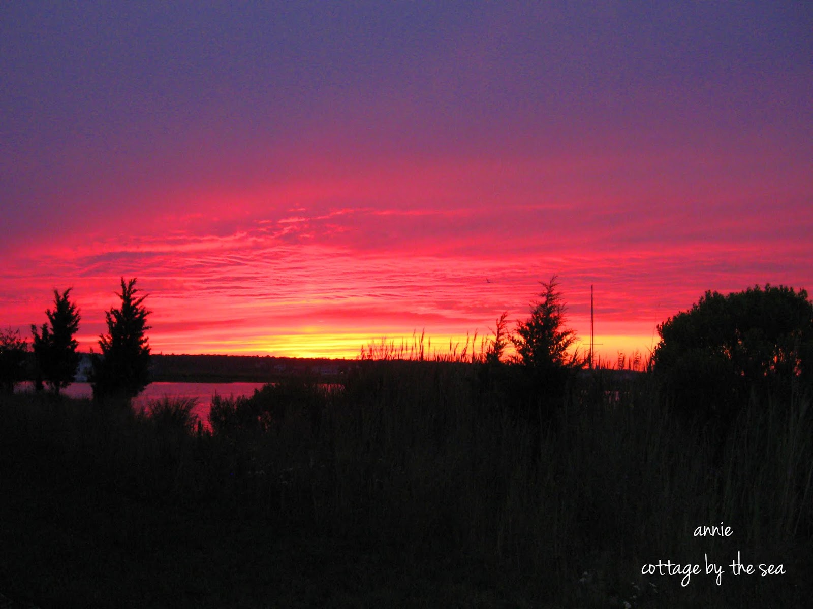 Cottage by the Sea : A Large Drop of Sun..