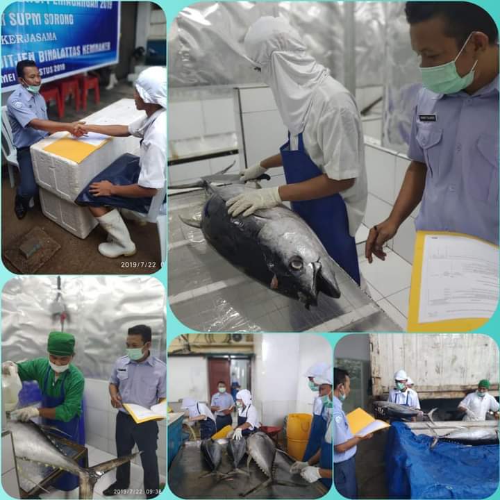 DASAR MIKROBIOLOGI HASIL PERIKANAN