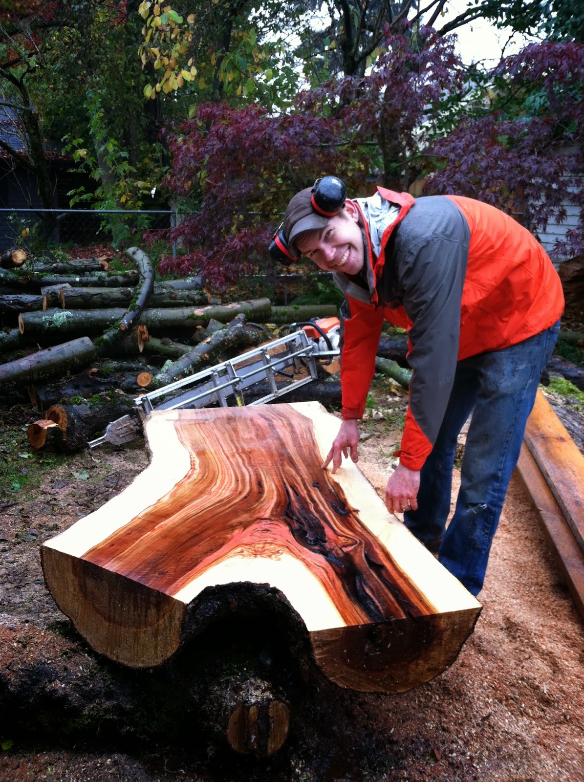 Five Fifths Furniture: The largest Apple tree in the world meets its match