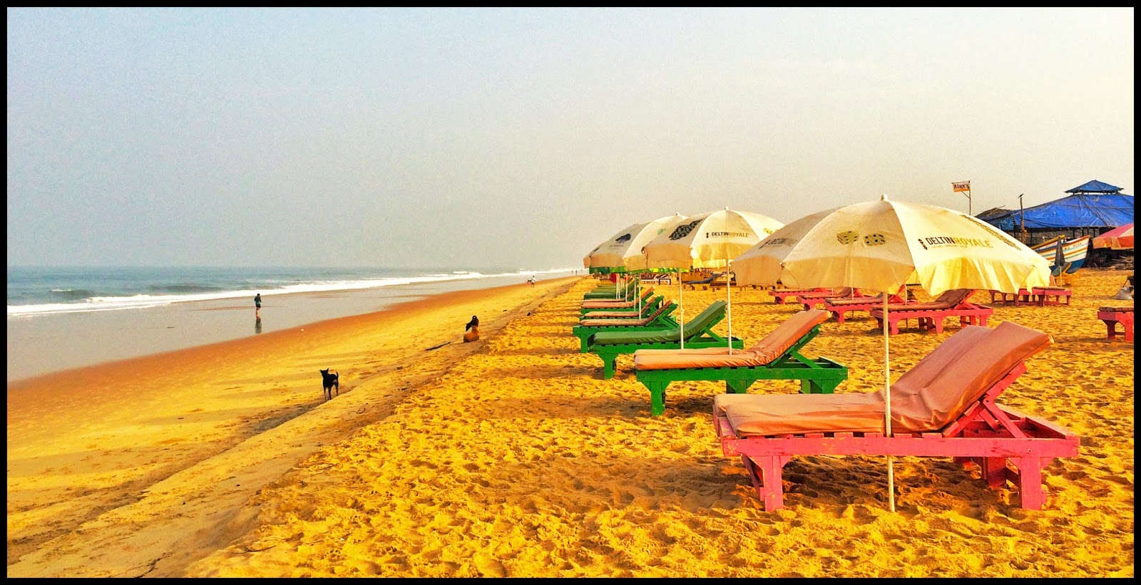 Candolim,Goa,India | Travel life journeys