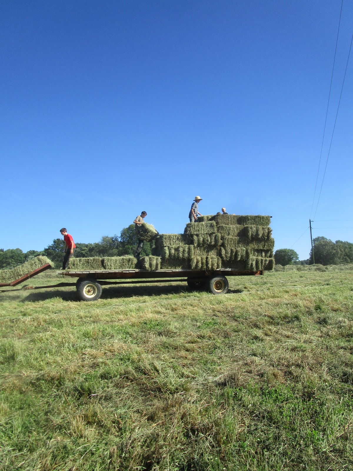 Plain and Simple: Quakers On The Farm: Gallery