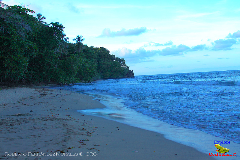 Playa Cocles de Limón | Explore Costa Rica