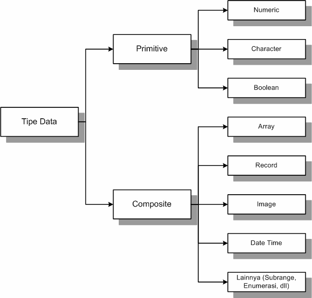 Tipe Data Variabel Konstanta Operator Dan Ekspresi ~ Algoritma Dan Pemrograman