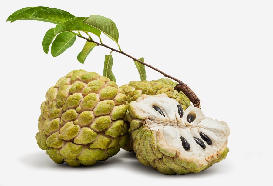 Annona - Alchetron, The Free Social Encyclopedia