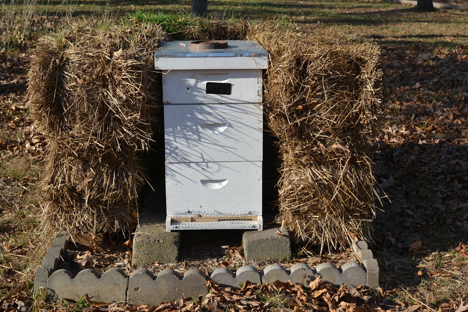 Our Neck of the Woods: Prepare Your Beehive For Winter In 4 Steps