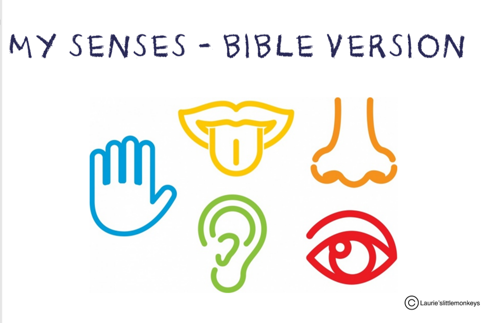 Laurie's Little Monkeys