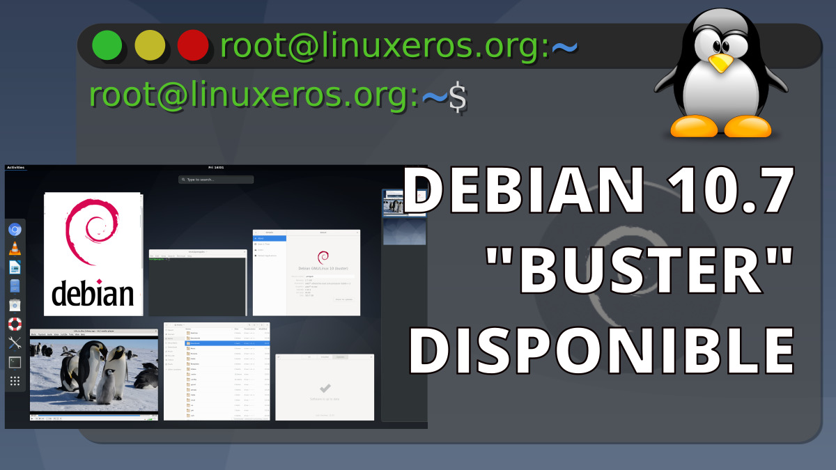 Debian GNU/Linux 10.7, con 38 actualizaciones de seguridad ~ Linuxeros