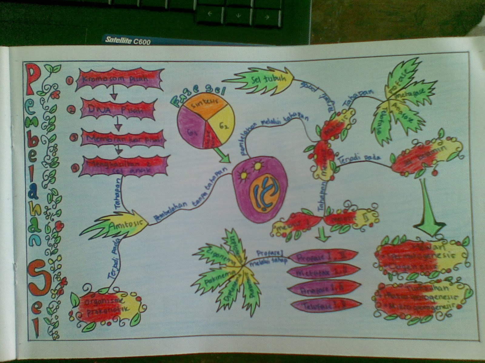 Sagulan Pung: Mind Mapping biologi Kelas XII semester 1