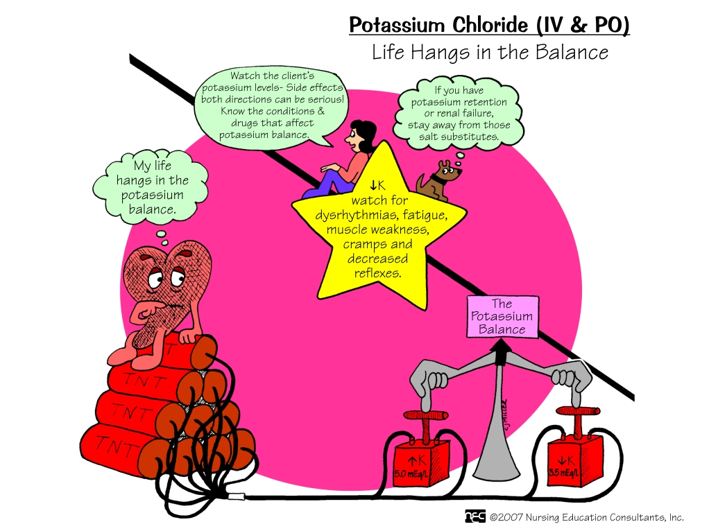 K-Dur+Potassium.jpg 1,022×766 pixels | Pharmacology nursing, Nursing ...