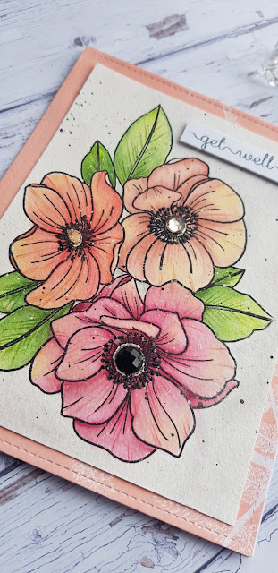 Creative Clark by Alli C