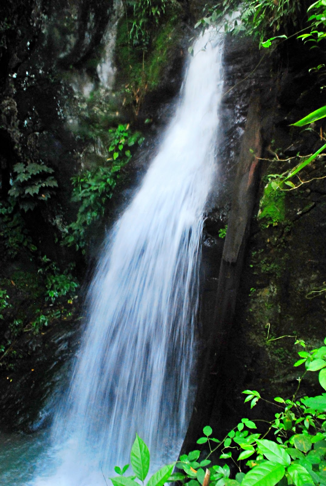 Mambukal Waterfalls | Negros Occidental - Nomadic Experiences