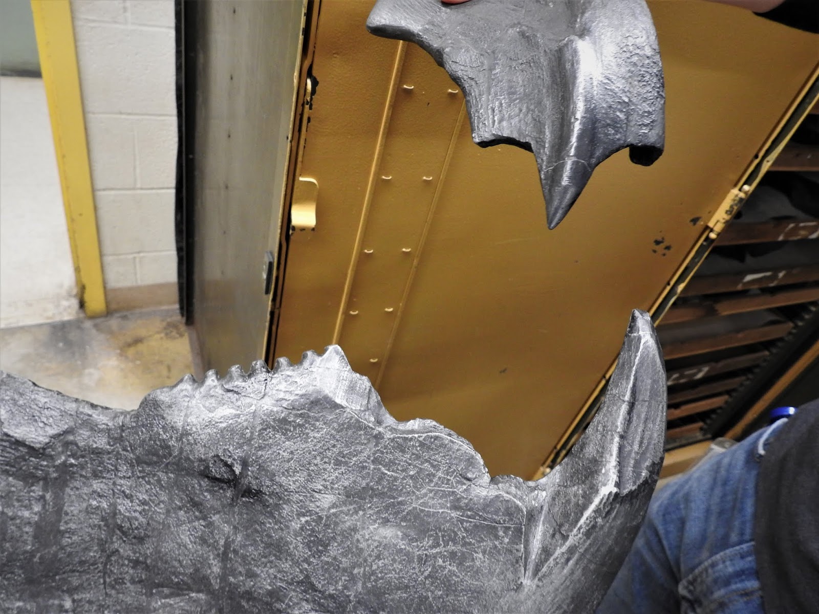 BONE ROOMS: Cleveland Museum of Natural History - The Great Lakes ...