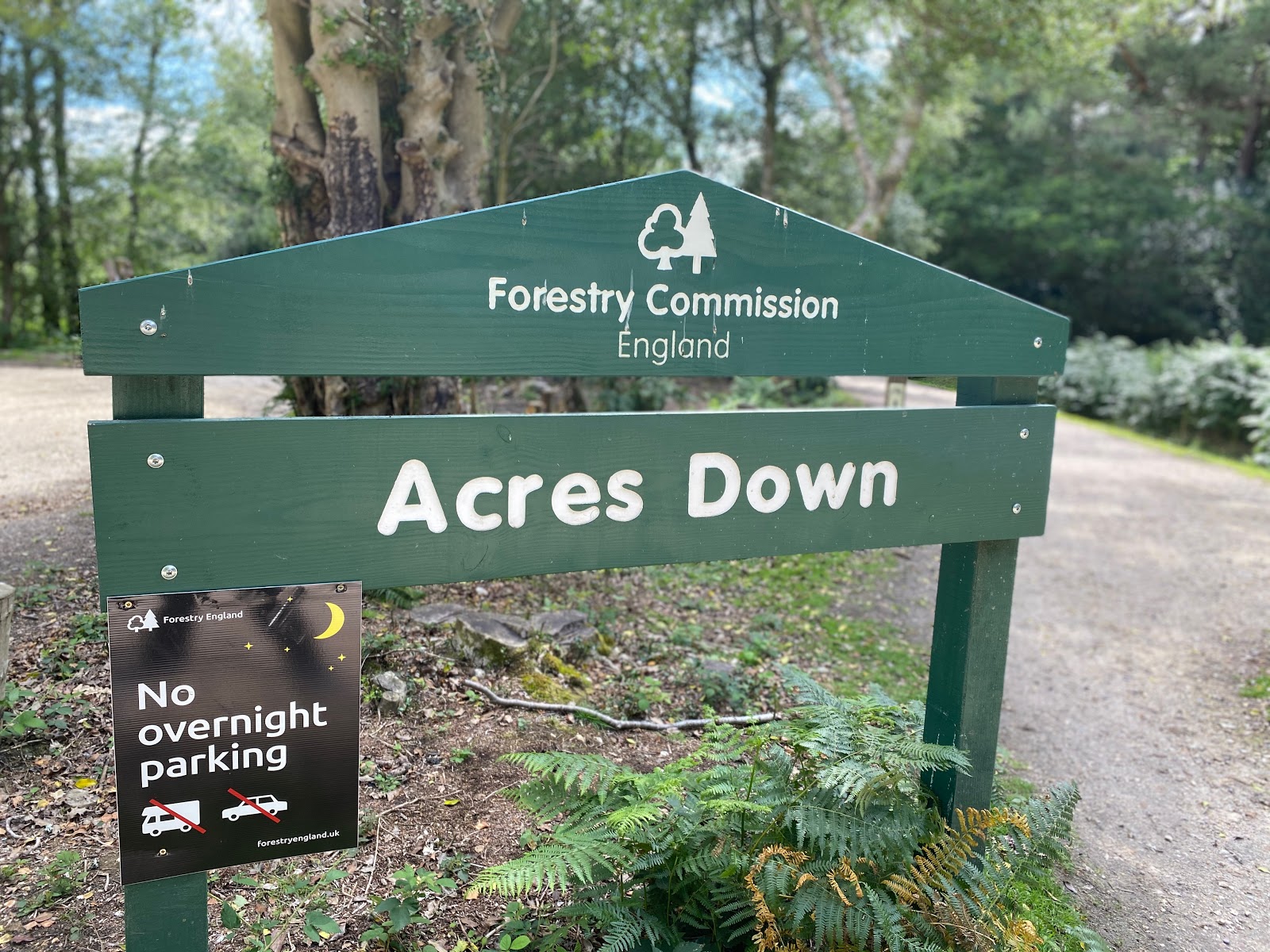 Kirándulás Angliában - Acres Down - New Forest