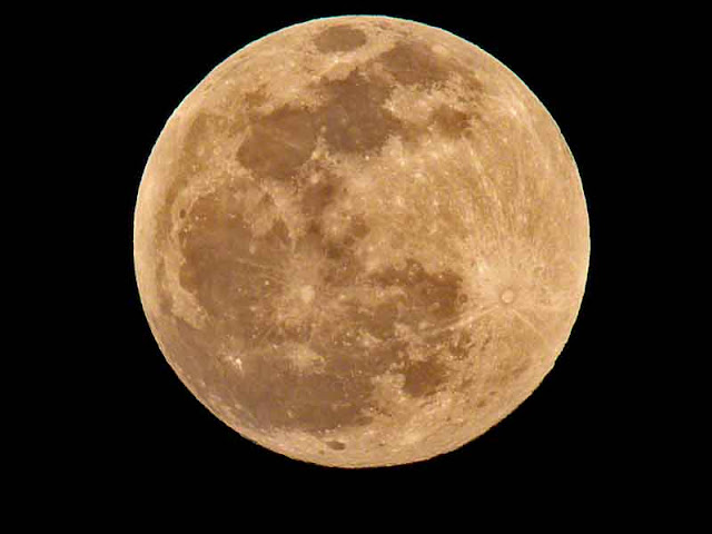 Ryukyu Life: Rabbit in the Moon Can Drive You Crazy