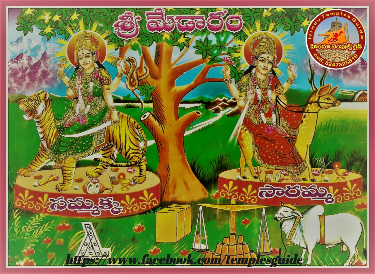 Sri Sammakka Saralamma Jatara | MEDARAM Warangal dist Telangana